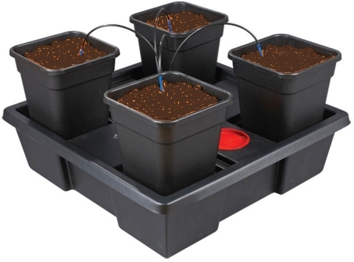 Origin Dripper (large) 4-Plant Coco Grow Kits - Somerset Hydroponics